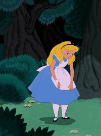 Alice Gifs Get The Best Gif On Gifer