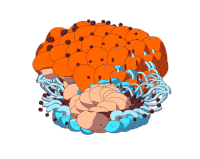 Cluster GIFs - Get the best gif on GIFER