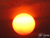 Soleil GIFs - Get the best gif on GIFER