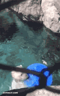 Visitor GIFs - Get the best gif on GIFER