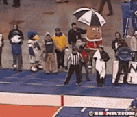 Prediction GIFs - Get the best gif on GIFER