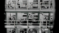 Prisons GIFs - Get the best gif on GIFER