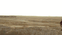Iraq GIFs - Get the best gif on GIFER