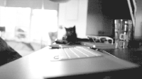 Anytime GIFs - Get the best gif on GIFER