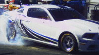 Mustang GIFs - Get the best gif on GIFER