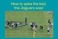 Chive GIFs - Get the best gif on GIFER