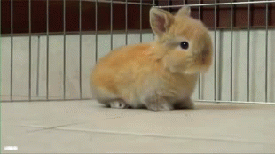 Friggin GIFs - Get the best gif on GIFER
