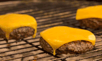 Cheese GIFs - Get the best gif on GIFER
