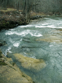 Ecosystem GIFs - Get the best gif on GIFER