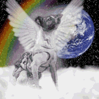 Desconocido GIF - Conseguir el mejor gif en GIFER