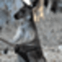 Approaches GIFs - Get the best gif on GIFER
