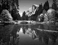 Sludge GIFs - Get the best gif on GIFER