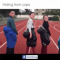 Hiding GIFs - Get the best gif on GIFER
