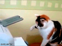 Printers GIFs - Get the best gif on GIFER