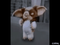 Gizmo GIFs - Get the best gif on GIFER