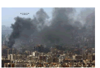 Lebanon GIFs - Get the best gif on GIFER