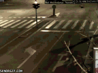 Pcp GIFs - Get the best gif on GIFER