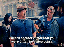 Chuck norris make joke abt chuck norris wow gr9 GIFs - Obtenez le ...