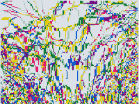 Pollock GIFs - Get the best gif on GIFER
