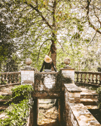 Parallax GIFs - Get the best gif on GIFER