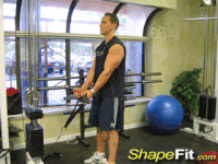 Biceps GIFs - Get the best gif on GIFER