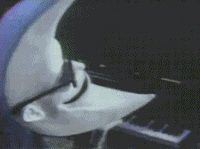 Bone GIFs - Get the best gif on GIFER
