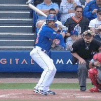 Chipper GIFs - Get the best gif on GIFER