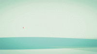 Civics GIFs - Get the best gif on GIFER
