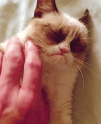 Blabla GIFs - Get the best gif on GIFER