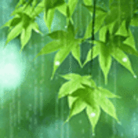 Solstice GIFs - Get the best gif on GIFER