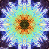 Shift GIFs - Get the best gif on GIFER