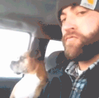 M8 GIFs - Get the best gif on GIFER