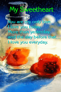 Everyday GIFs - Get the best gif on GIFER