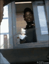 Head bash GIFs - Get the best gif on GIFER