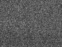 Bord GIFs - Get the best gif on GIFER