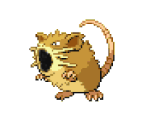 Rattata GIFs - Get the best gif on GIFER