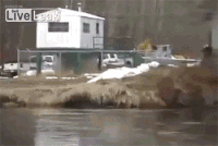 Snowmobile GIFs - Get the best gif on GIFER