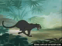 Bagheera GIFs - Get the best gif on GIFER