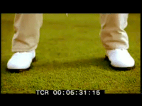 Participation GIFs - Get the best gif on GIFER