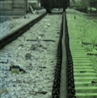 Rail GIFs - Get the best gif on GIFER