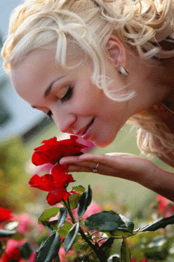 Hs GIFs - Get the best gif on GIFER
