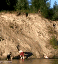 Sortie GIFs - Get the best gif on GIFER
