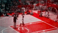 1976 GIFs - Get the best gif on GIFER