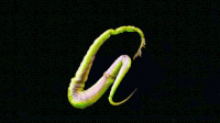 Parasite GIFs - Get the best gif on GIFER