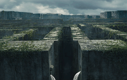 New the maze runner гифки, анимированные GIF изображения new the maze ...