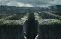 Maze GIFs - Get the best gif on GIFER