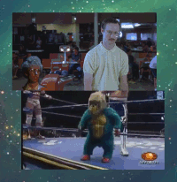 Bonking GIFs - Get the best gif on GIFER