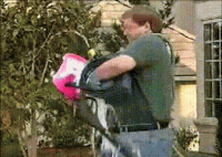 Cuentos GIFs - Get the best gif on GIFER