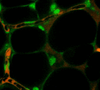 Tissues GIFs - Get the best gif on GIFER