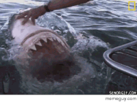 Cansado GIF - Conseguir el mejor gif en GIFER